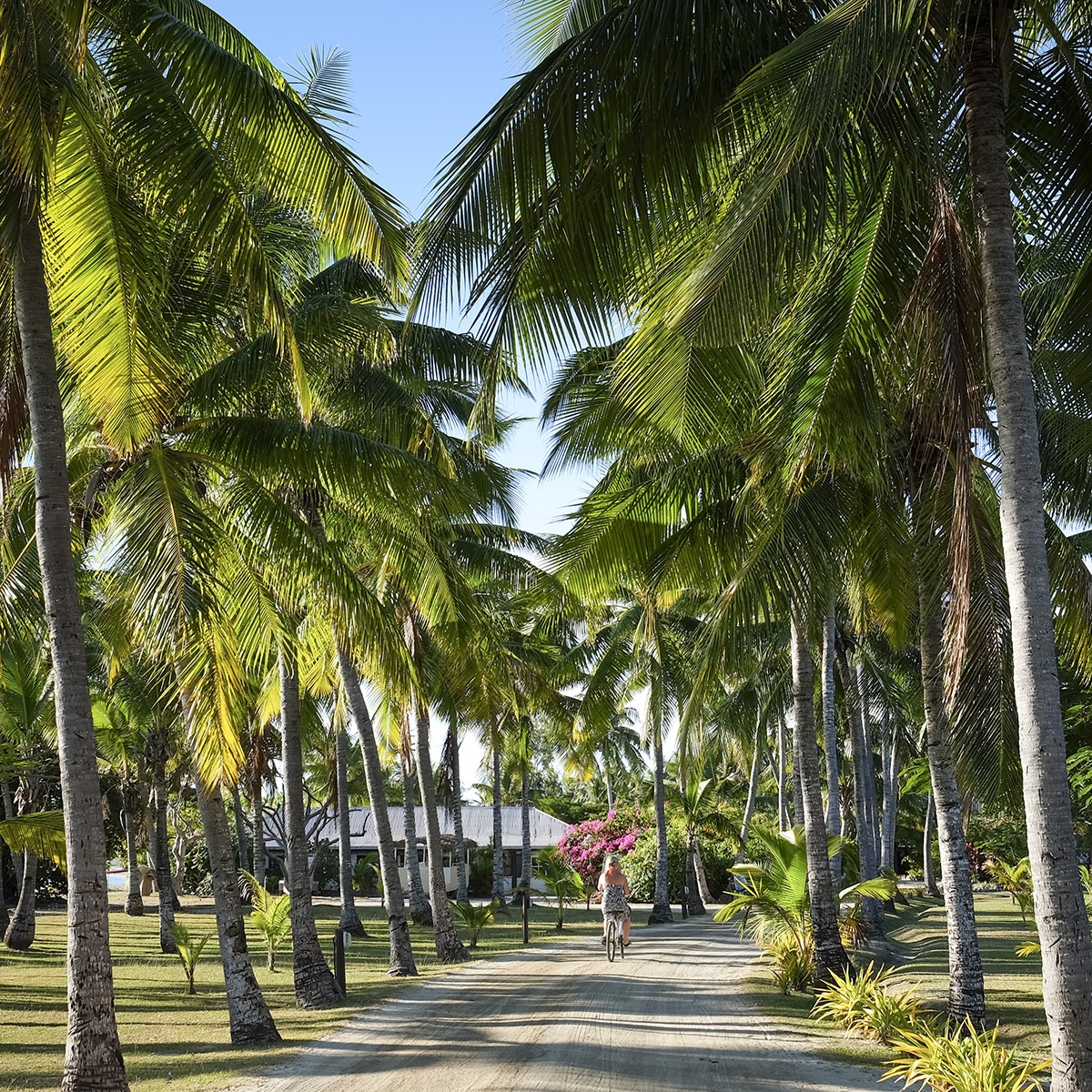 Musket Cove Resort Holiday Package Deal - Fiji Holidays | Island ...